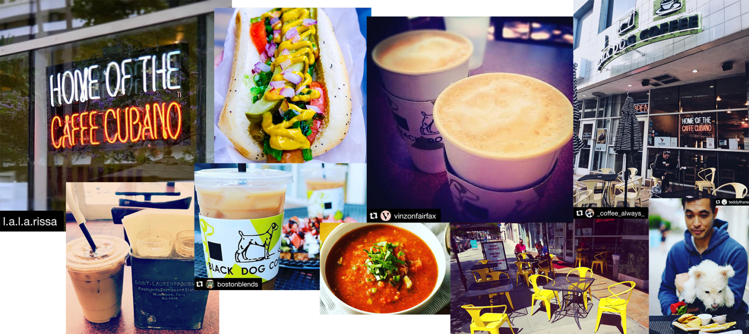 blackdogcoffee – Your neighborhood cafe coffee